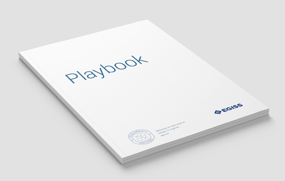 The Egiss Playbook - lifecycle framework for global workplace programmes